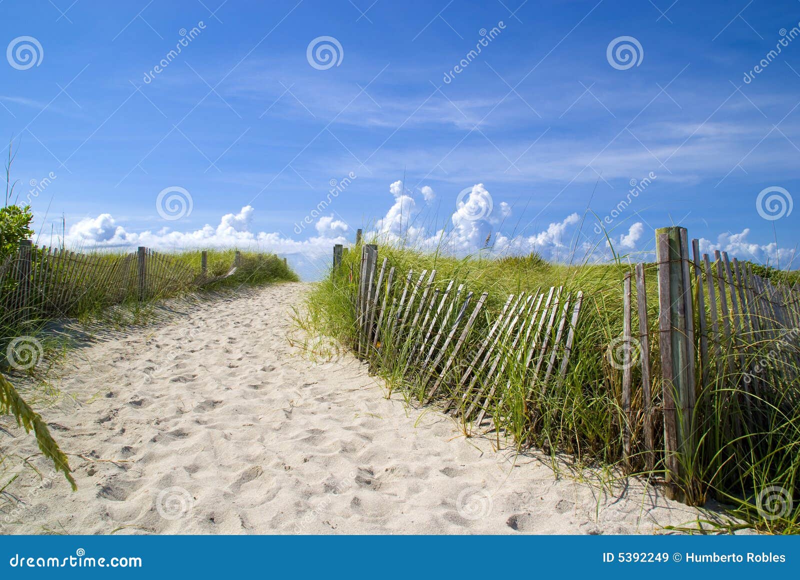 Beautiful miami beach stock image. Image of vacation, dunes - 5392249
