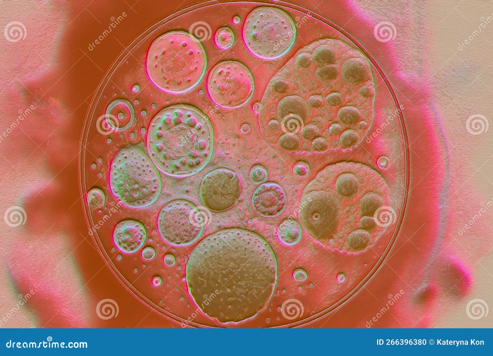 Beautiful Microworld, Microbes of Different Shapes, 3D Illustration ...