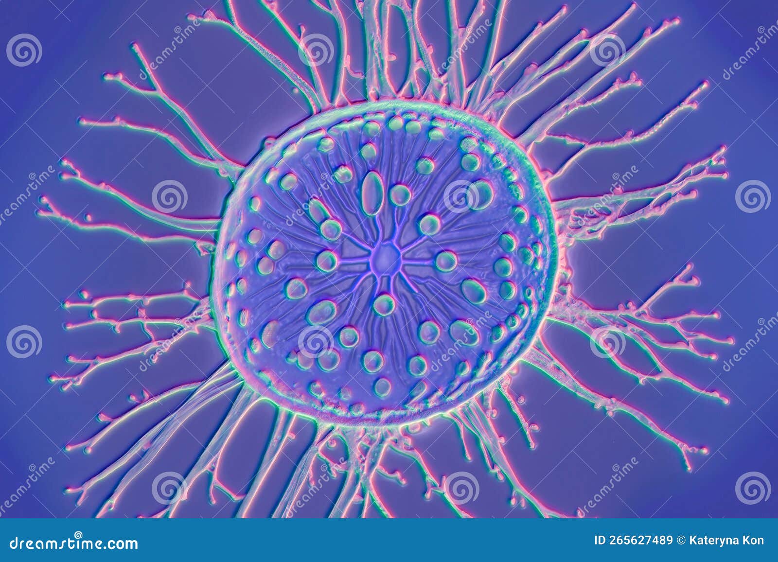 Beautiful Microworld, Microbes of Different Shapes, Illustration Stock ...