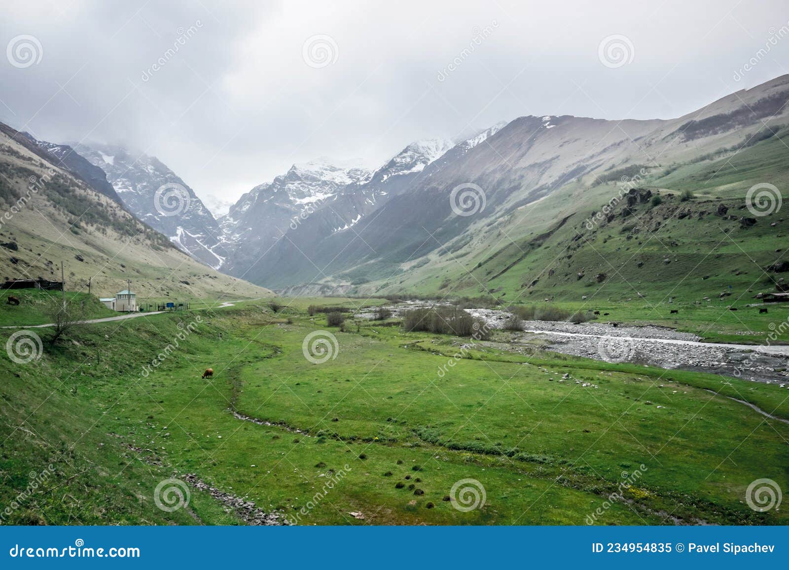 Spring In The North Dakota Badlands: Teton`s Band Of Wild Horses In A ...