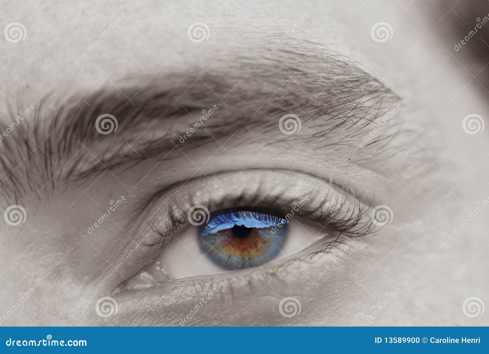 Beautiful mirror eye 2 stock photo. Image of faces, boys - 13589900