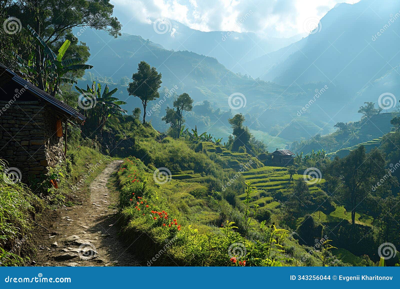 Beautiful Misty Valley with Terraced Fields Stock Illustration ...
