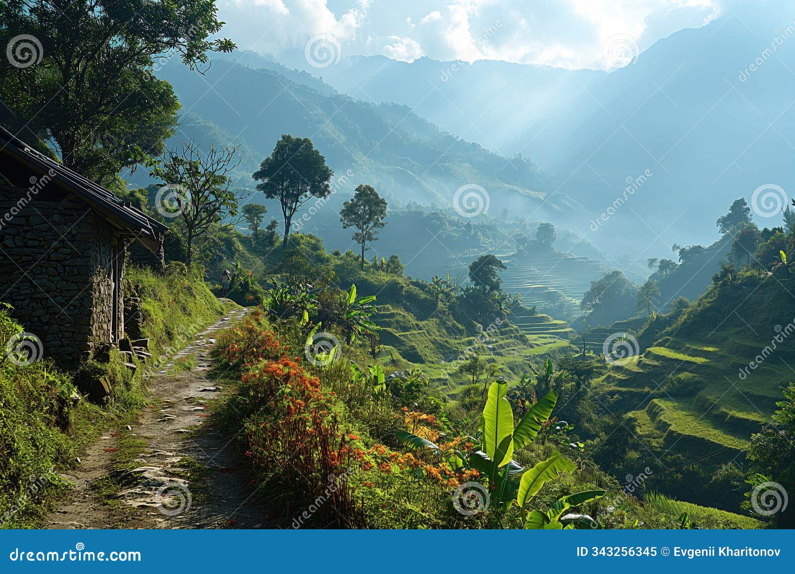 A Misty Valley With A River Winding Through, Glowing Under A Soft Pink ...
