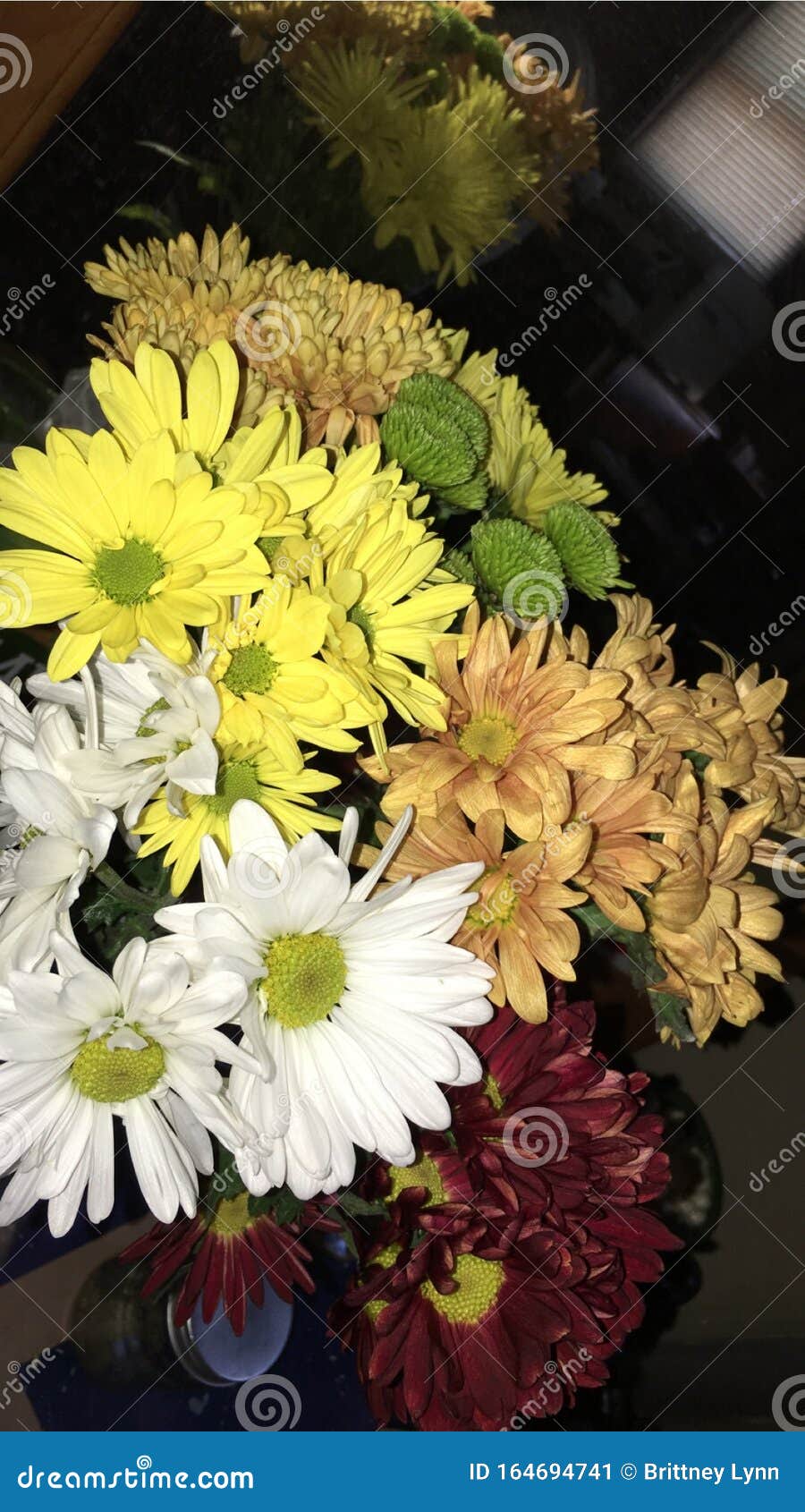 Beautiful Mix of Flowers stock image. Image of flowers - 164694741