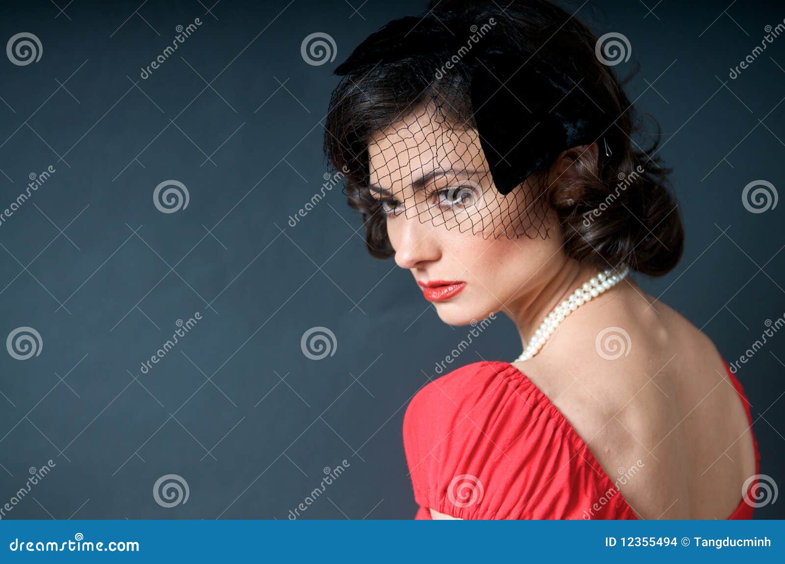 Beautiful Model with net stock photo. Image of caucasian - 12355494