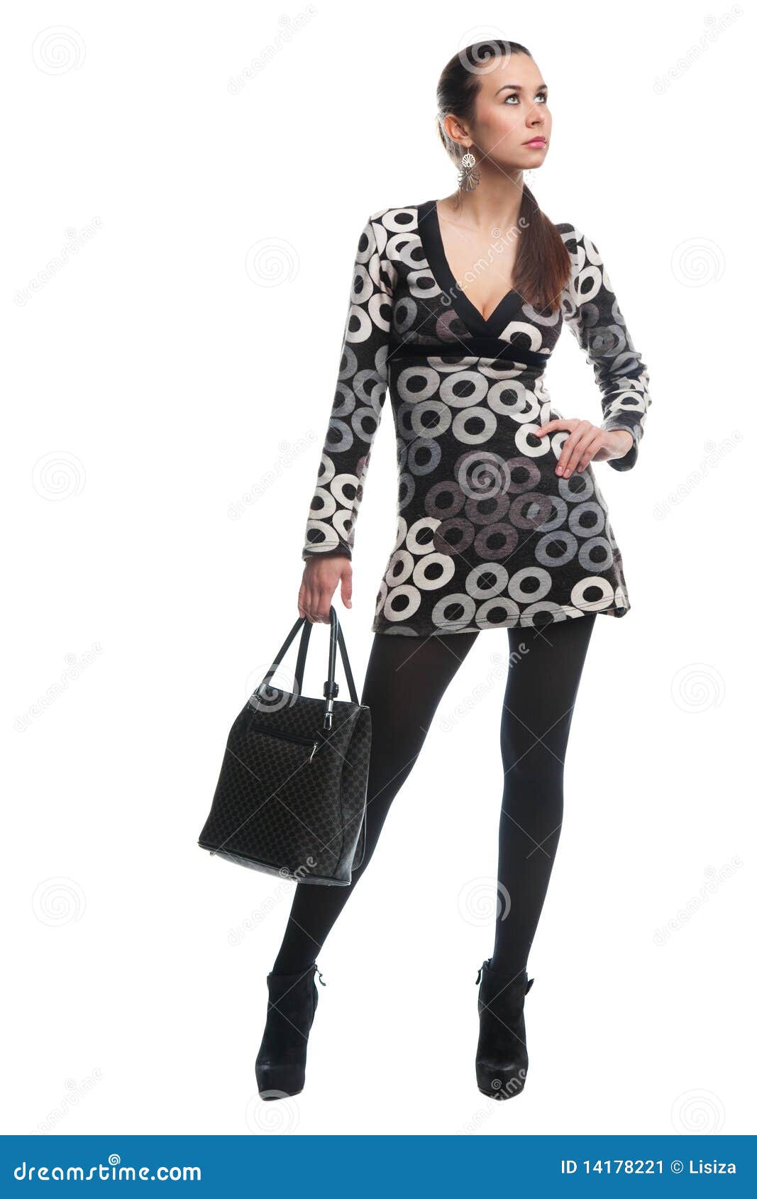 Beautiful model with purse stock image. Image of pose - 14178221