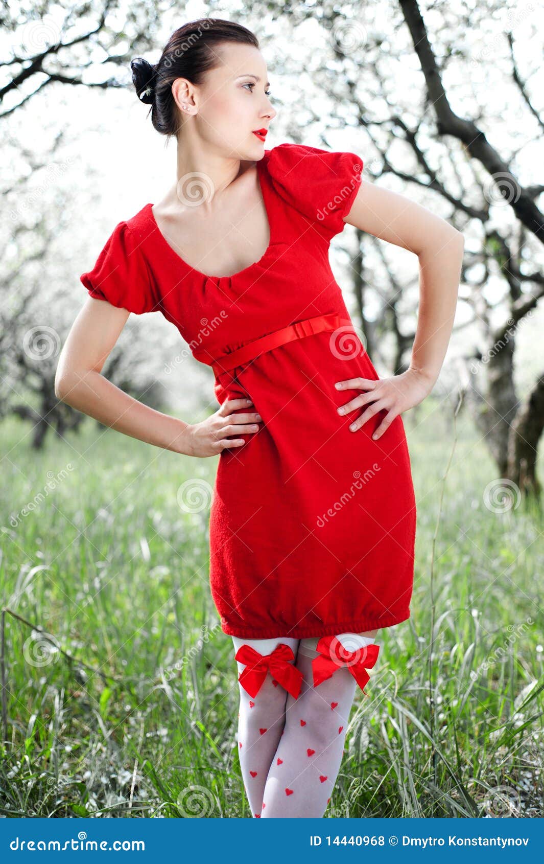 Beautiful Model in Red Dress Stock Photo - Image of elegance, beautiful ...