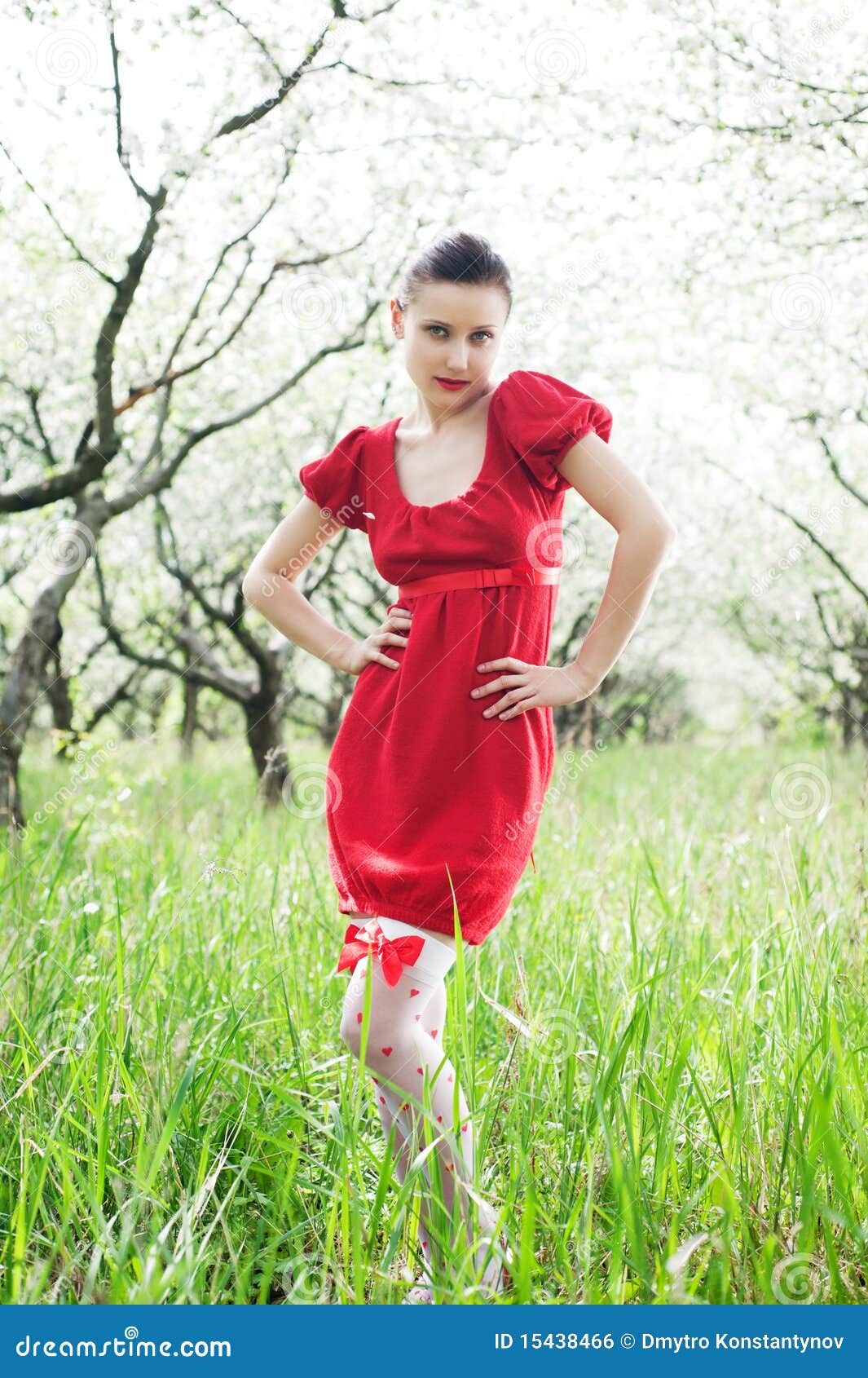Beautiful Model in Red Dress Stock Photo - Image of adult, beautiful ...