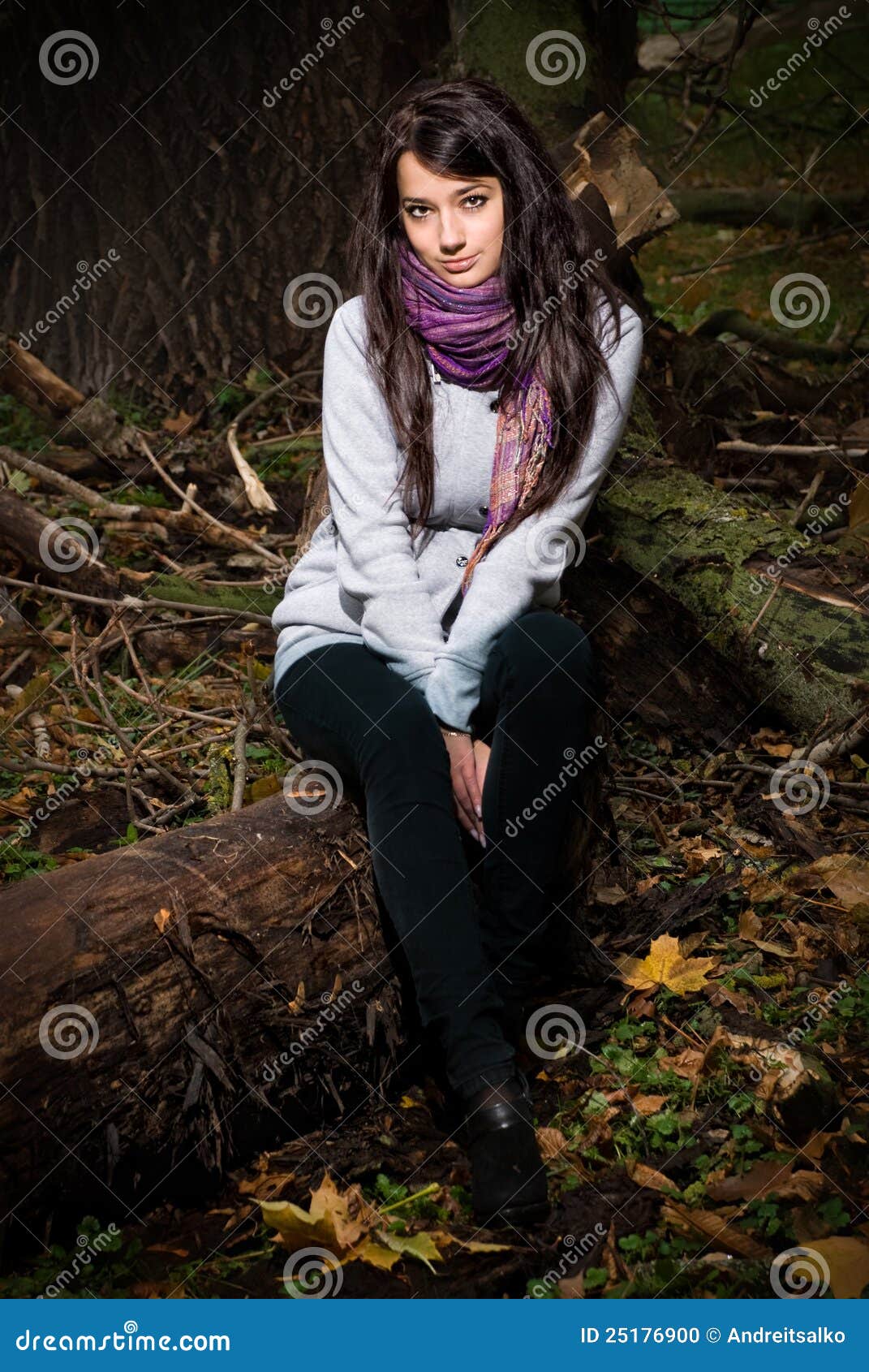 Beautiful Model on the Woods Stock Photo - Image of natural, fashion ...