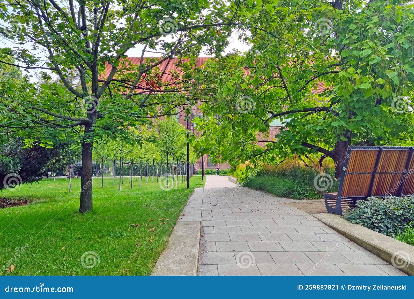 Beautiful Modern Green Park in the City. Stock Image - Image of ...