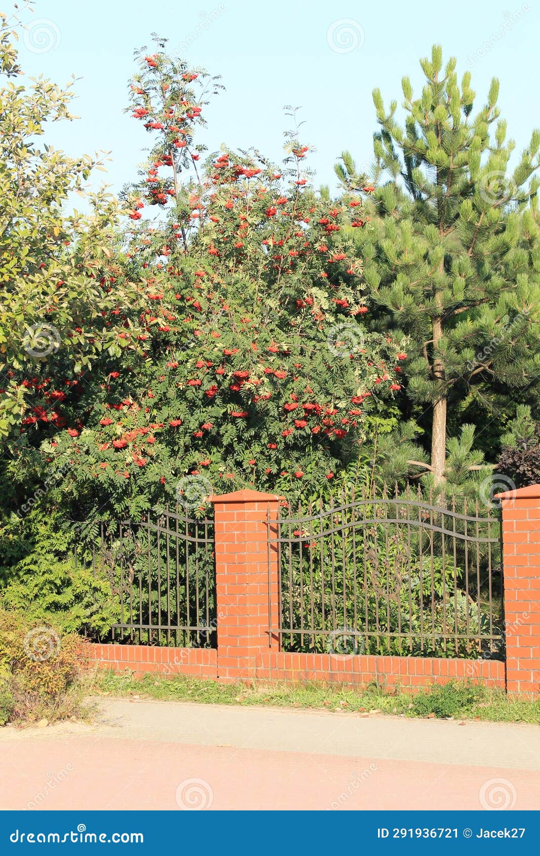 Beautiful Modern Metal Fence of the Plot Stock Image - Image of fruit ...