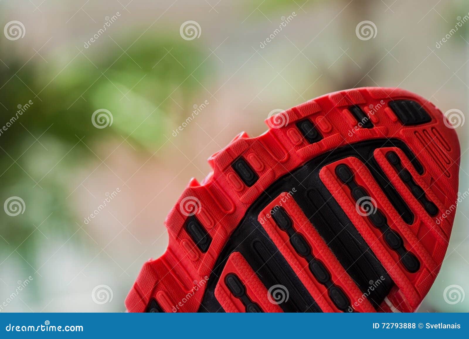 Beautiful Modern Red Sneaker on a Green Background Stock Photo - Image ...