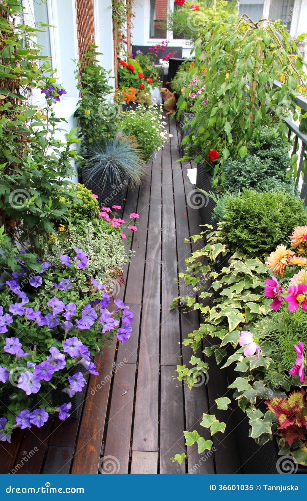 Beautiful Modern Terrace with a Lot of Flowers Stock Image - Image of ...