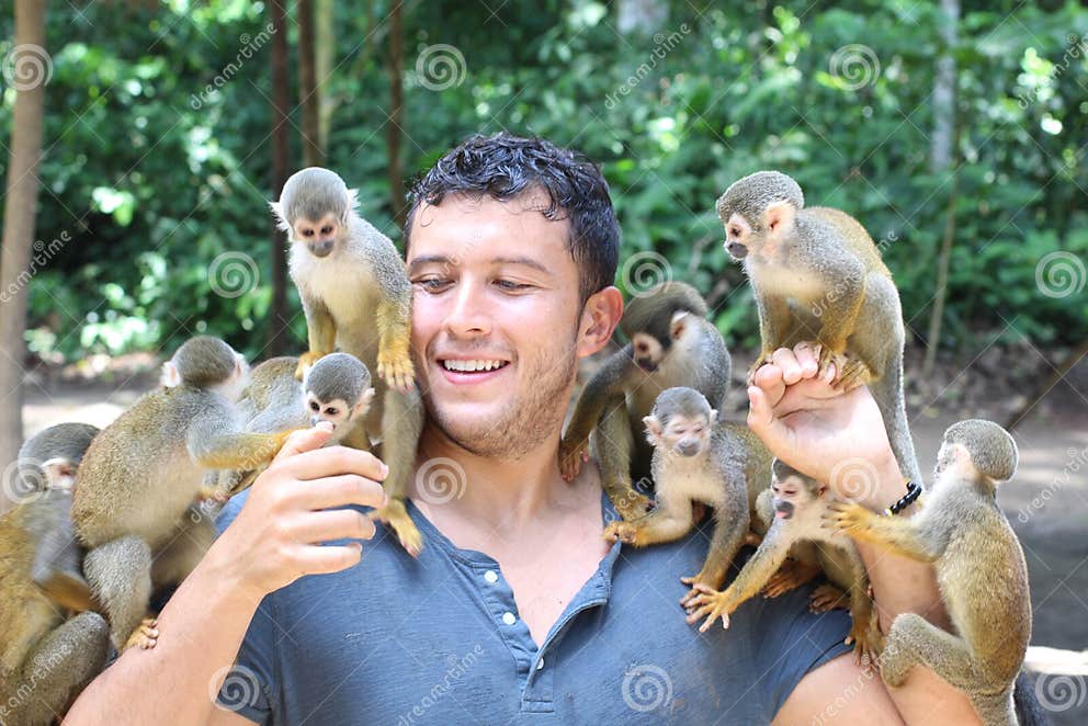 Beautiful Monkeys Interacting with a Human Stock Photo - Image of ...