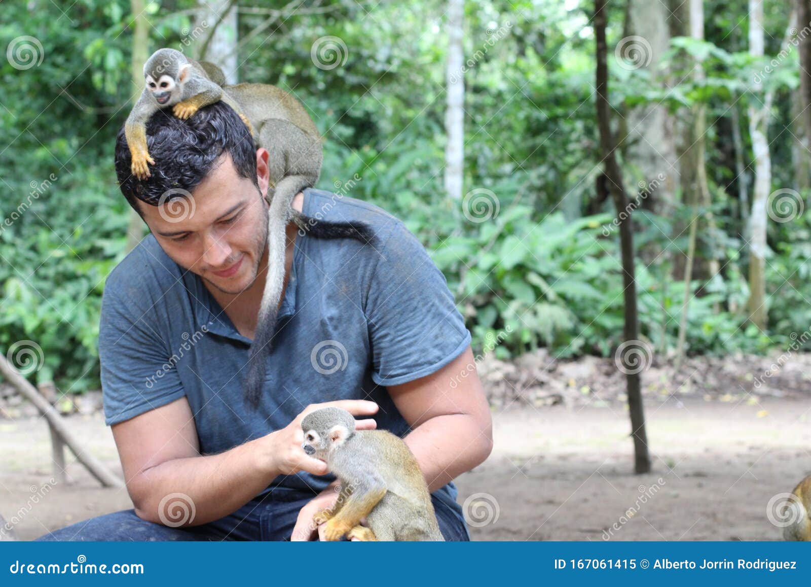Beautiful Monkeys Interacting with a Human Stock Image - Image of ...