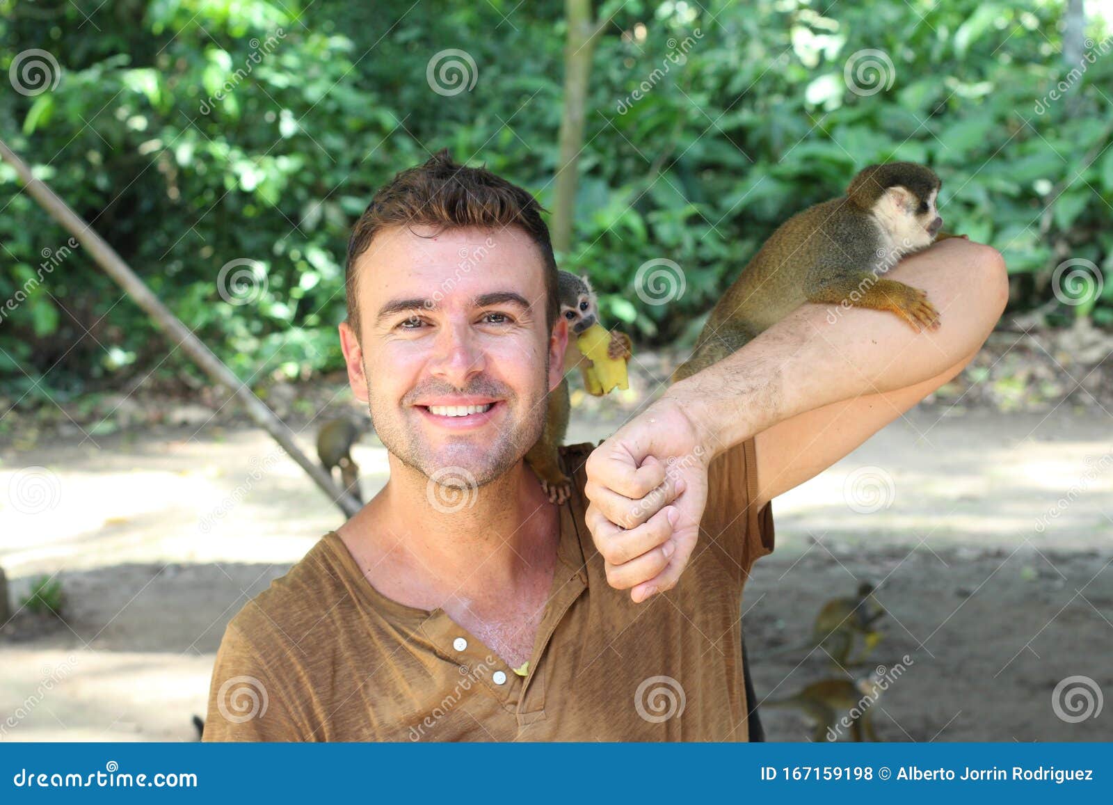 Beautiful Monkeys Interacting with a Human Stock Photo - Image of latin ...
