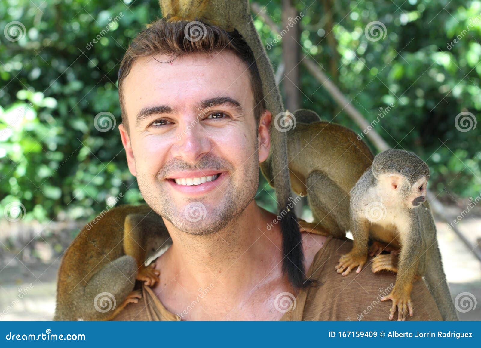 Beautiful Monkeys Interacting with a Human Stock Image - Image of ...