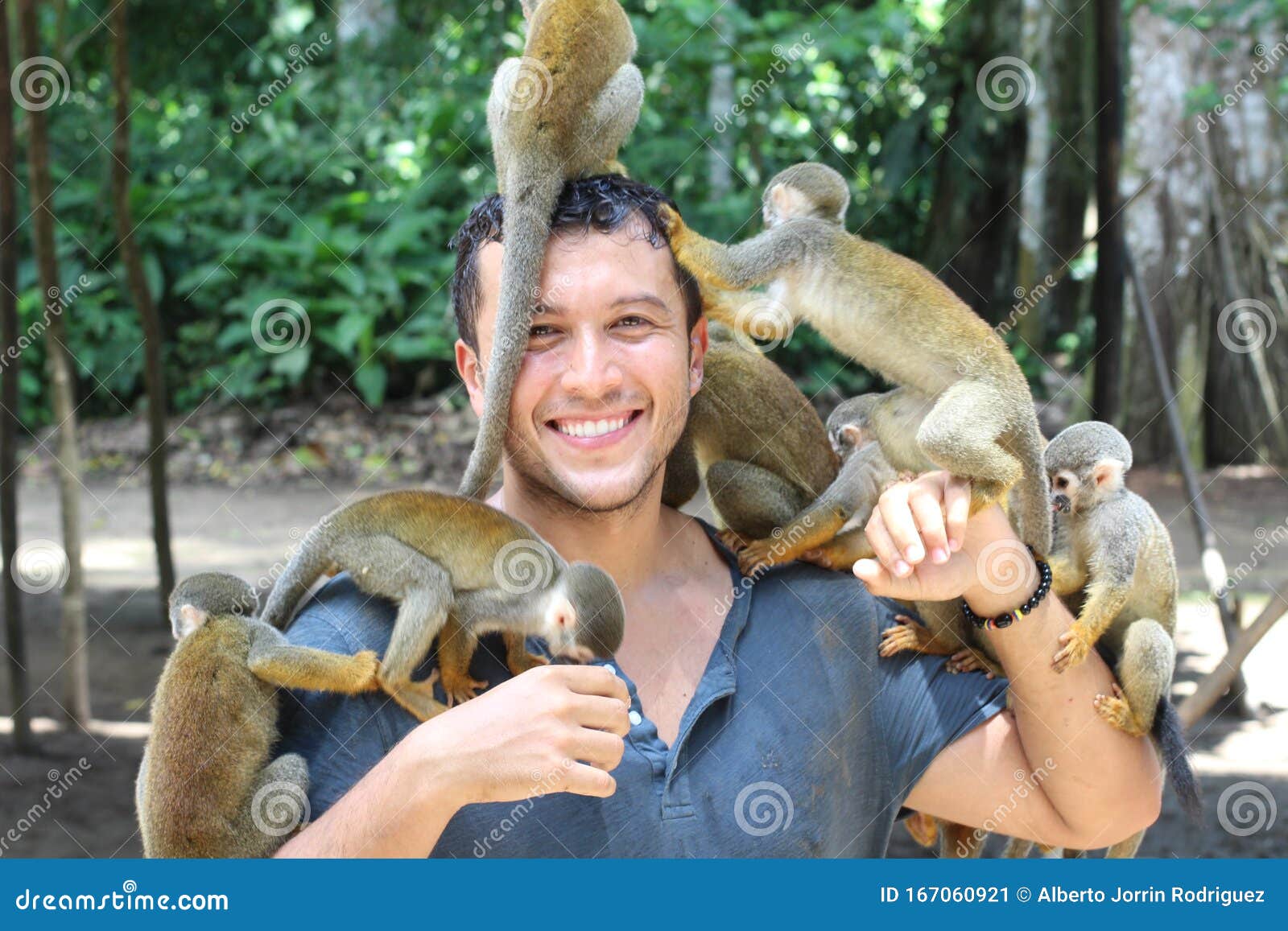 Beautiful Monkeys Interacting with a Human Stock Illustration ...