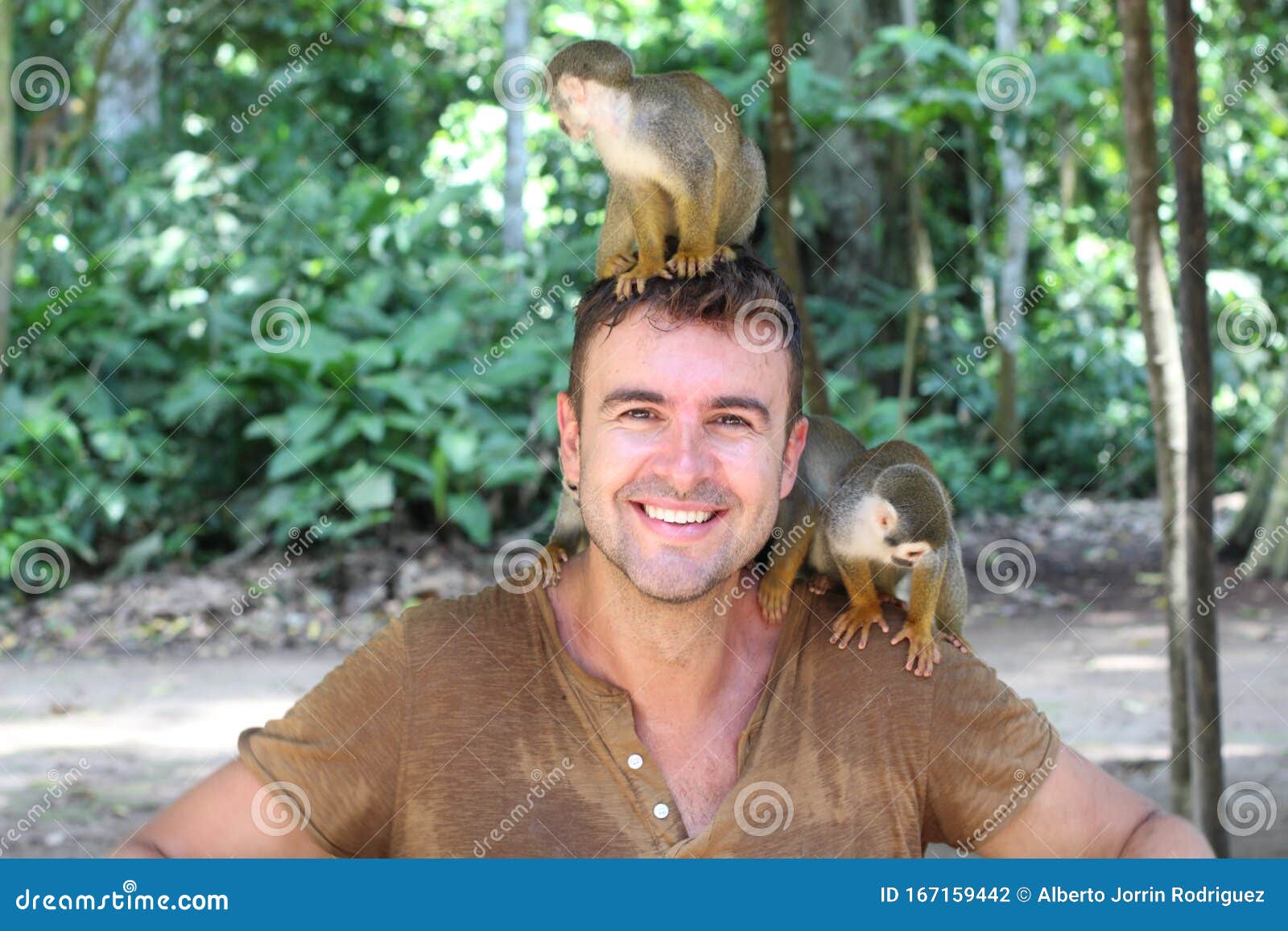 Beautiful Monkeys Interacting with a Human Stock Photo - Image of ...