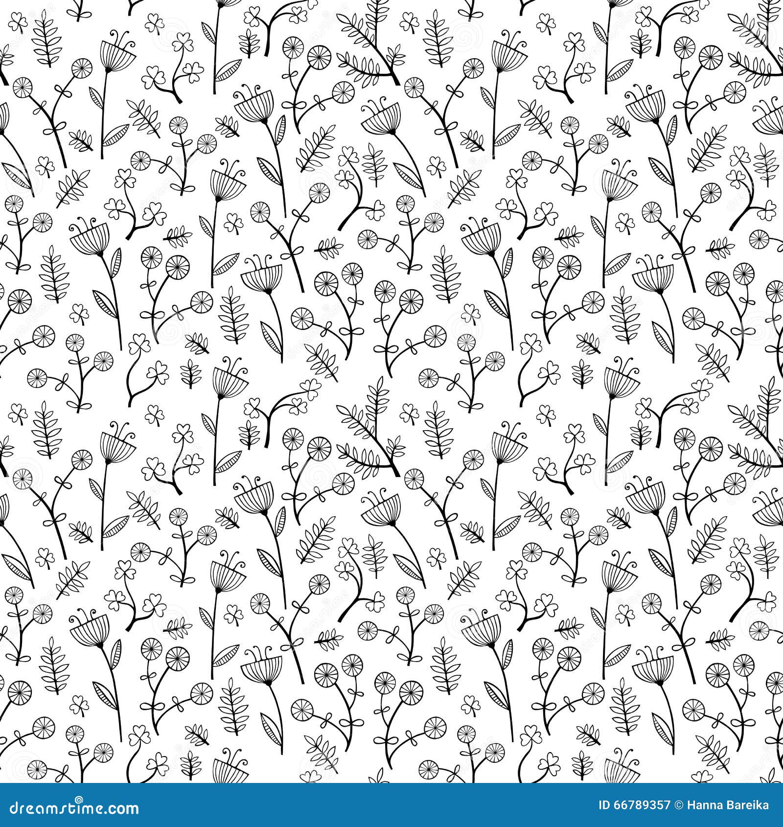 Beautiful Monochrome Flowers Set, Vector Seamless Pattern. Stock Vector ...
