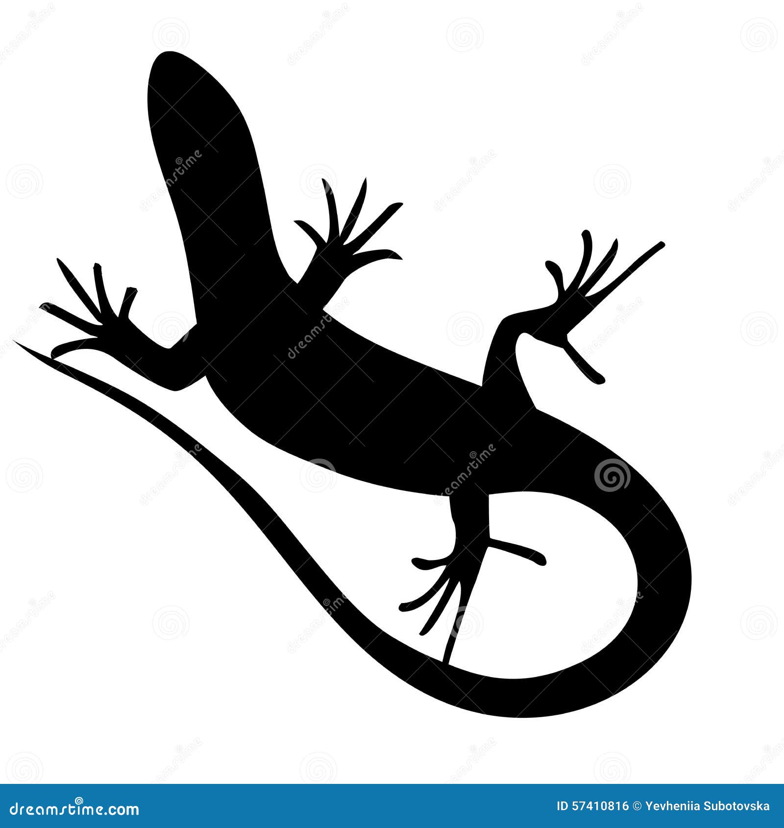 Lizard Silhouette