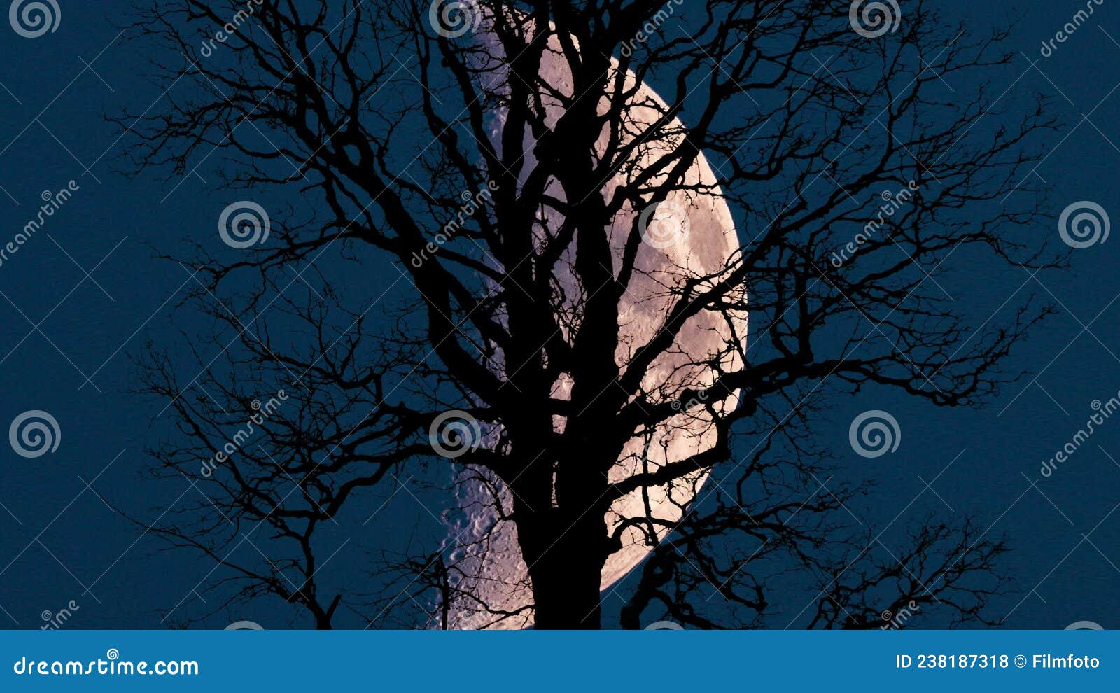 Beautiful Moon Rising on Sky Behind Single Tree Stock Footage - Video ...