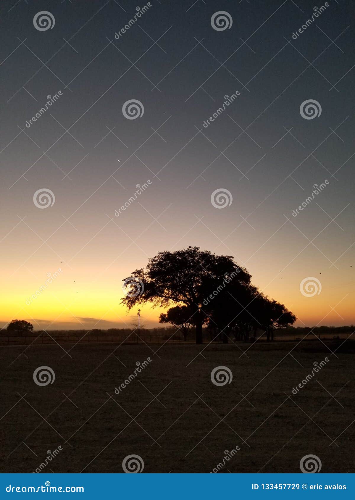 Good morning stock image. Image of moon, morning, good - 133457729