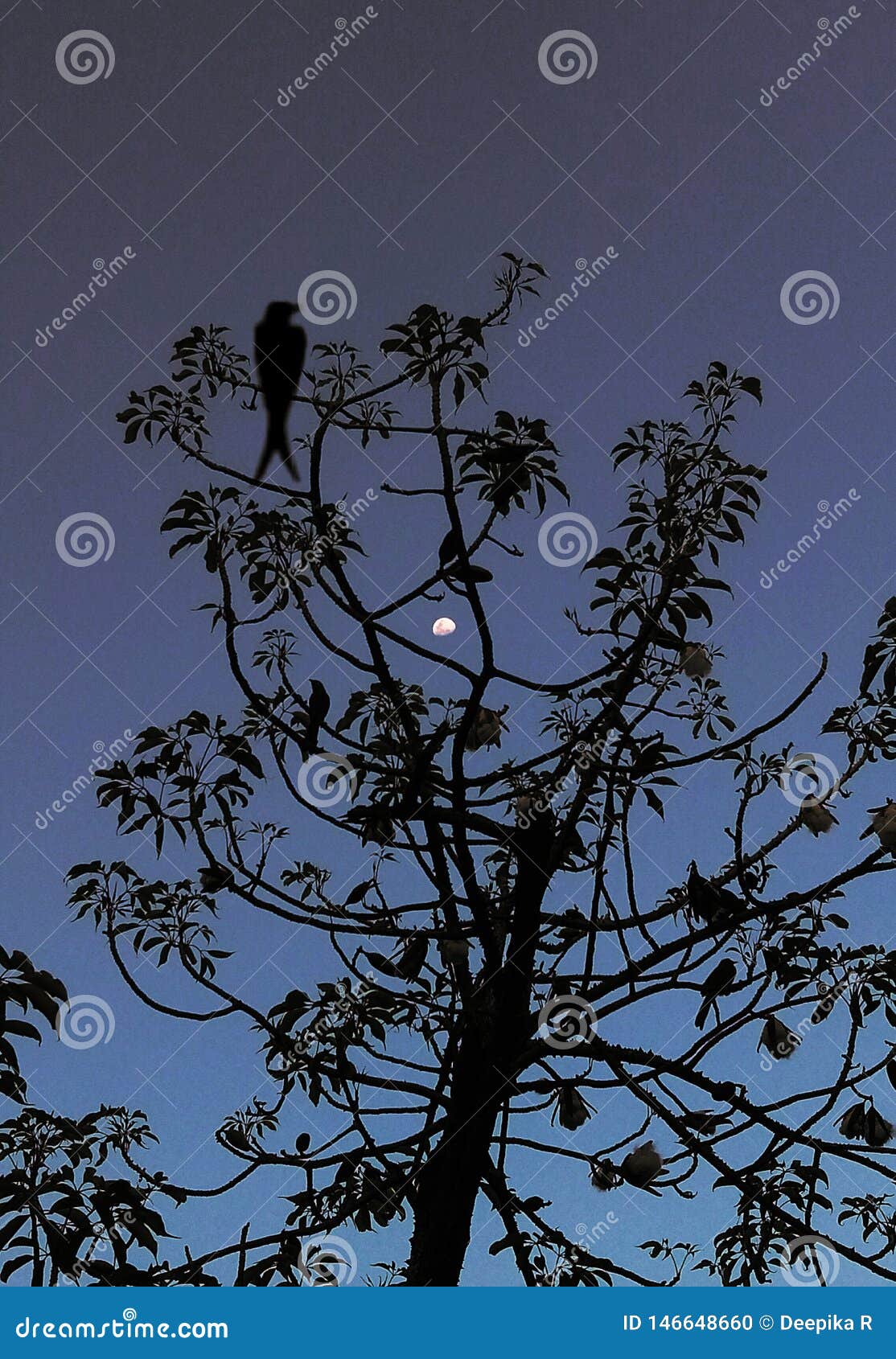 A.beautiful Moon View through Tree Branches Stock Illustration ...