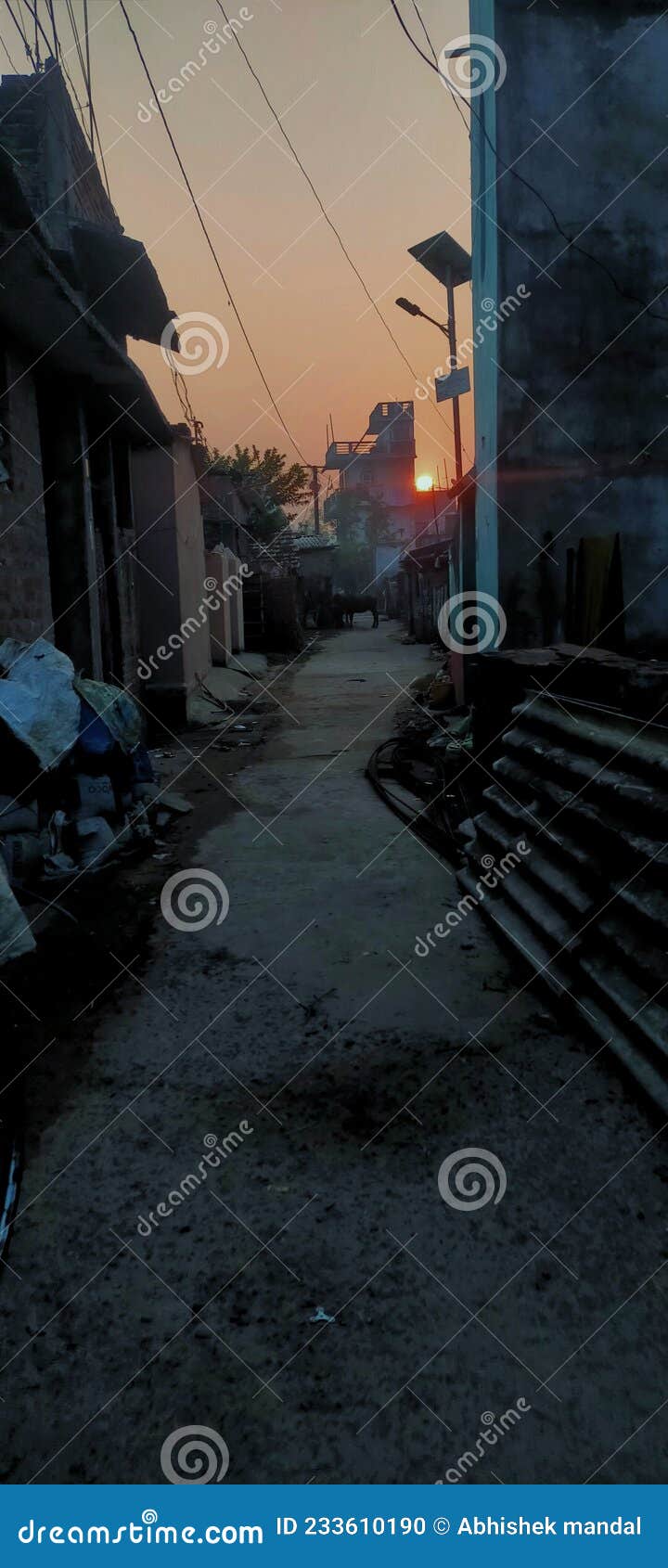 Beautiful Morning Click by Me Rise Sun Stock Photo - Image of rise ...