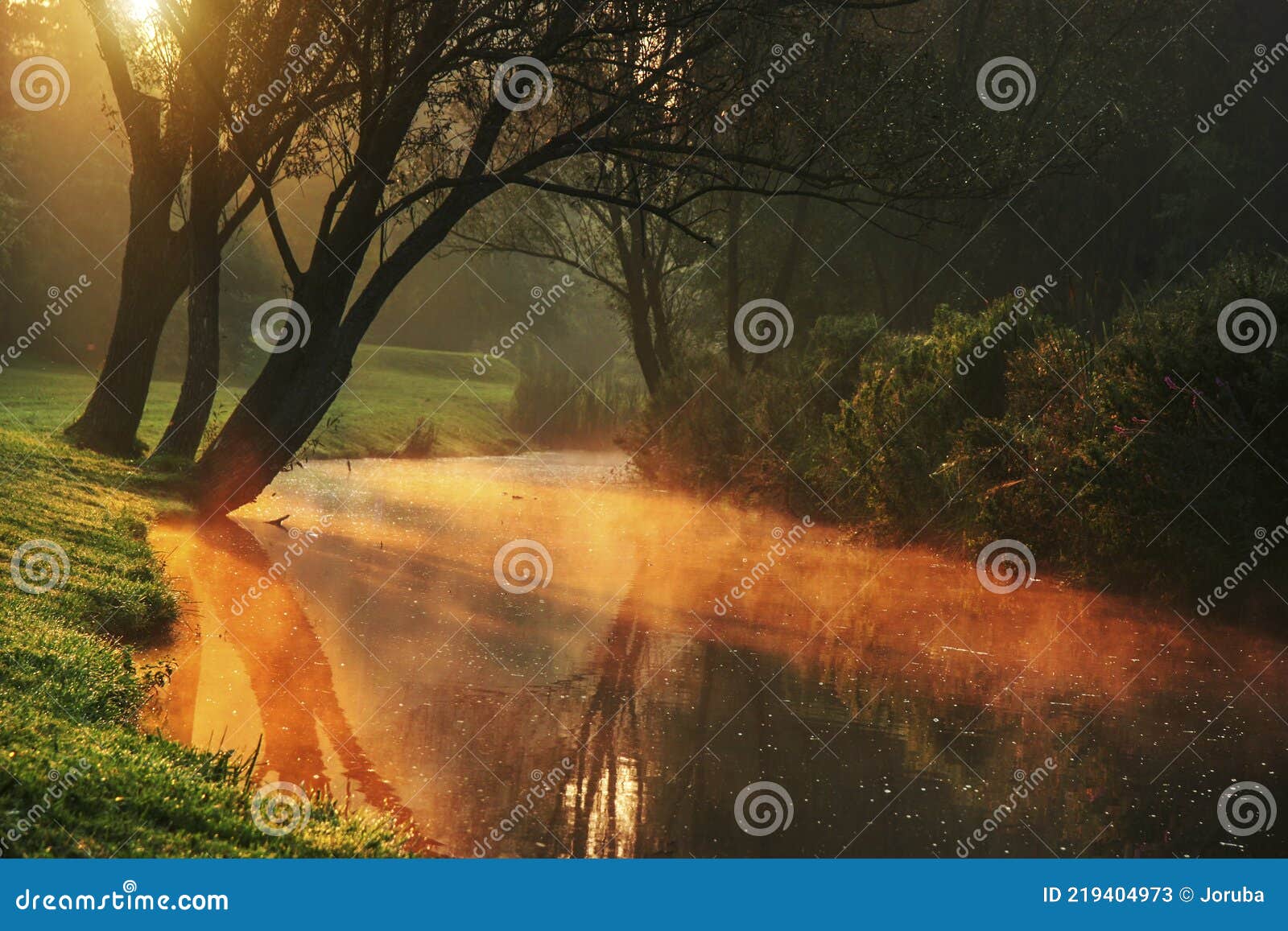 Beautiful Morning Lights in Forest with Water and Sunbeam Stock Image ...