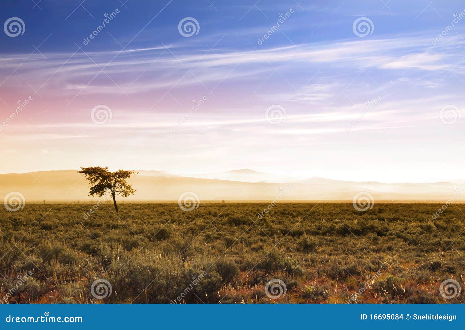 Beautiful Morning Scene in Prairies Stock Photo - Image of scenic ...