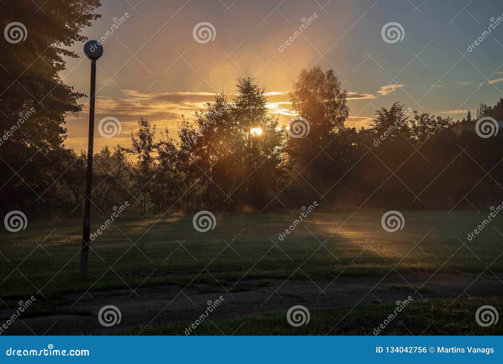 Beautiful Morning Sun Light Shining through the Trees on the Road, Sun ...