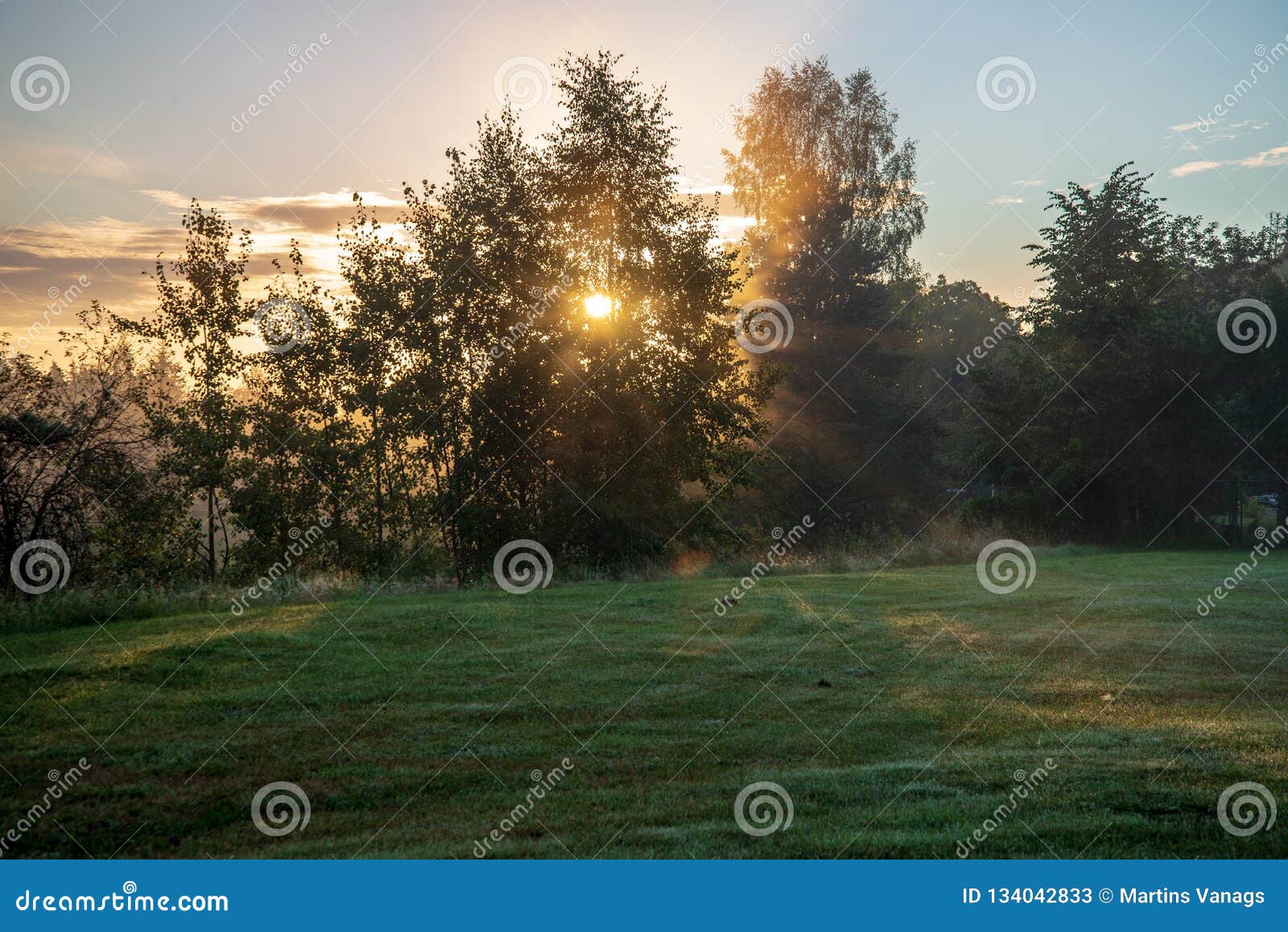 Beautiful Morning Sun Light Shining through the Trees on the Road, Sun ...