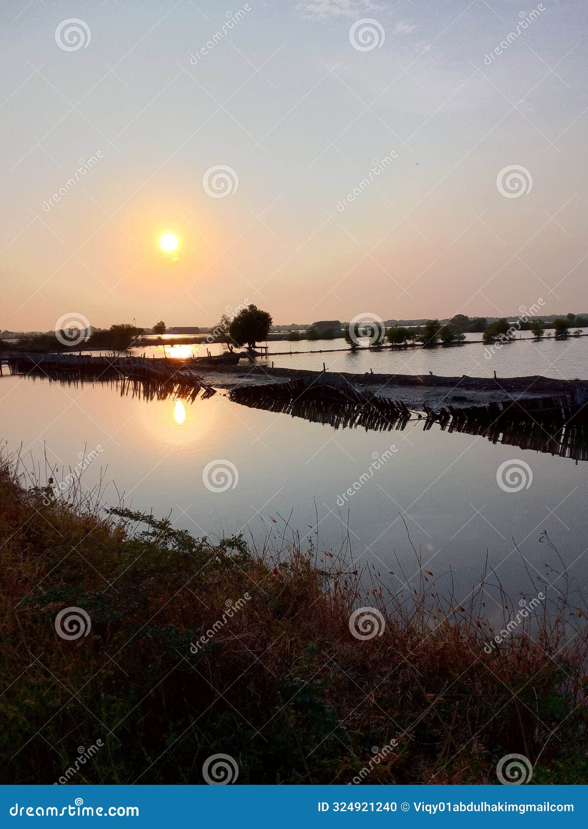 Beautiful Morning Sun on the Salt Pond Stock Photo - Image of beautiful ...