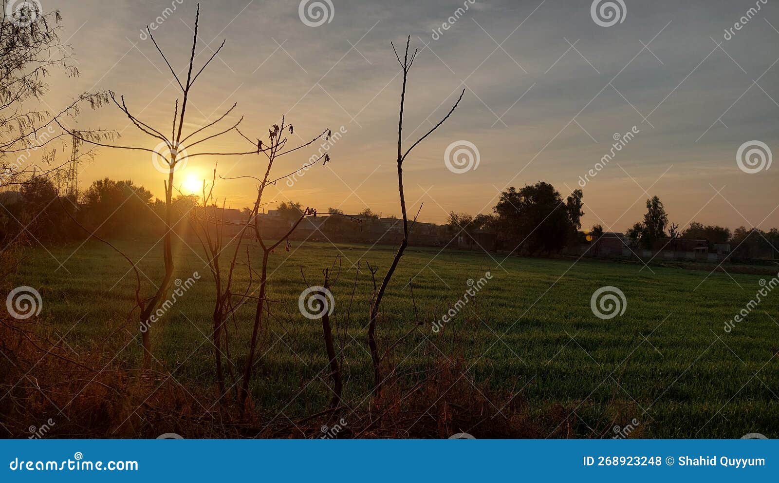Beautiful Morning Time Sunrises in Village Stock Photo - Image of ...