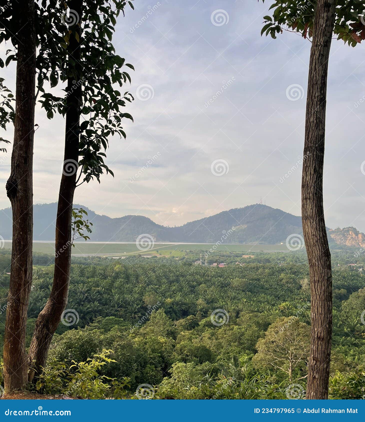 Beautiful Morning View from Hillside Stock Image - Image of branch ...