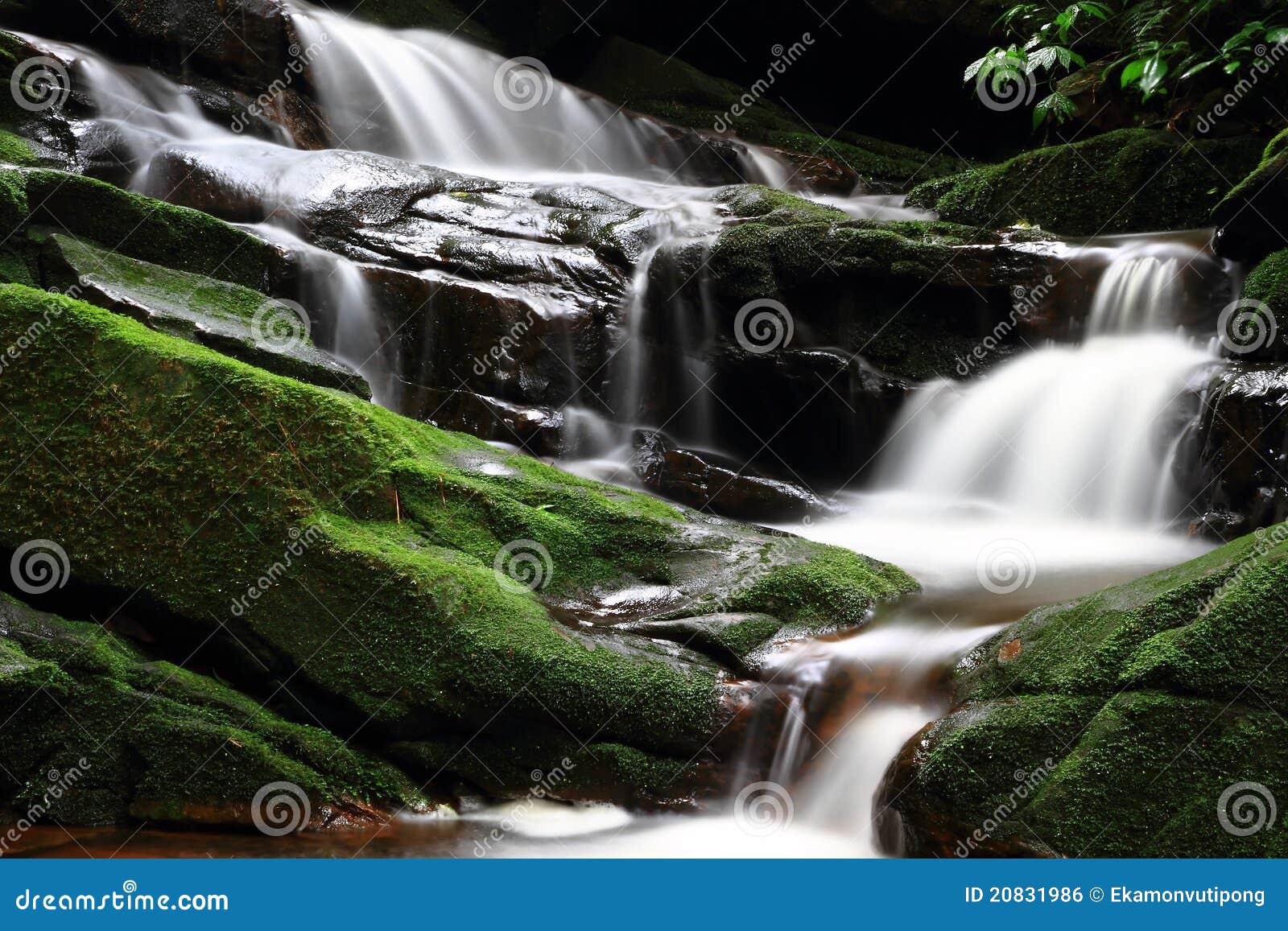 Beautiful mos waterfall stock photo. Image of leaf, creek - 20831986