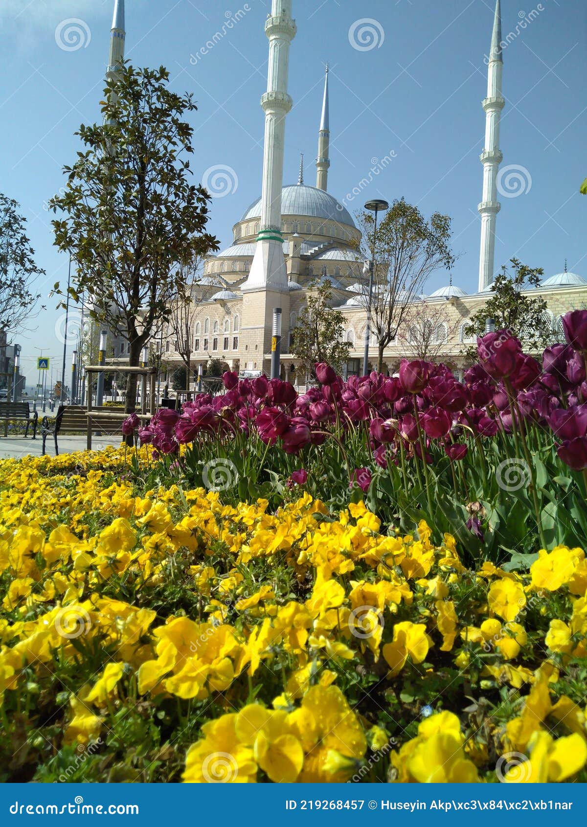 Beautiful Mosque and Tulips Stock Image - Image of camiii, tulip: 219268457