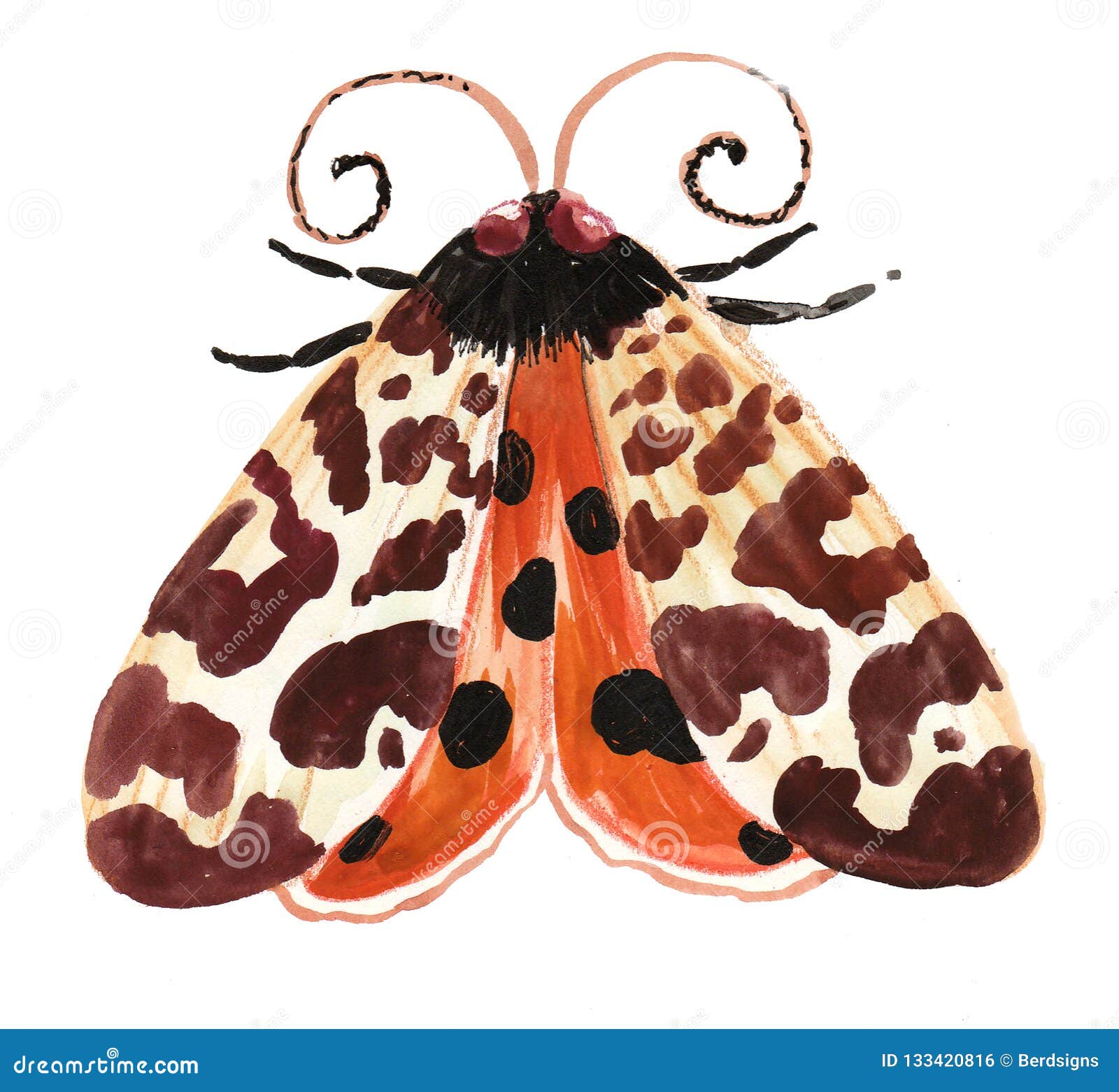 Beautiful moth stock illustration. Illustration of moth - 133420816