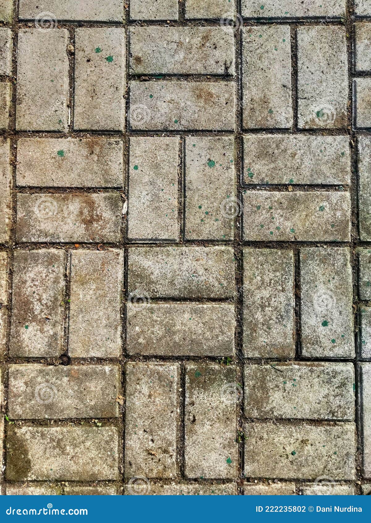 Beautiful Motifs On Paving Blocks Stock Photography | CartoonDealer.com ...