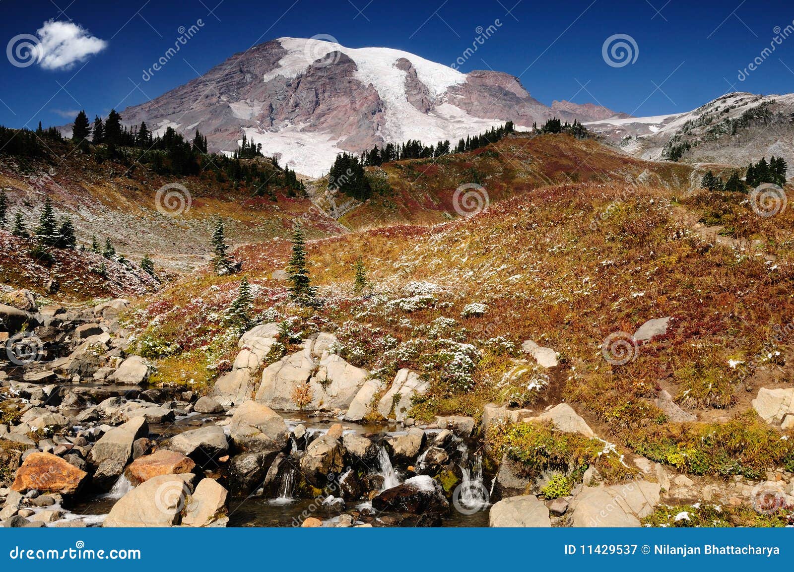 Beautiful Mount Rainier stock image. Image of northwest - 11429537