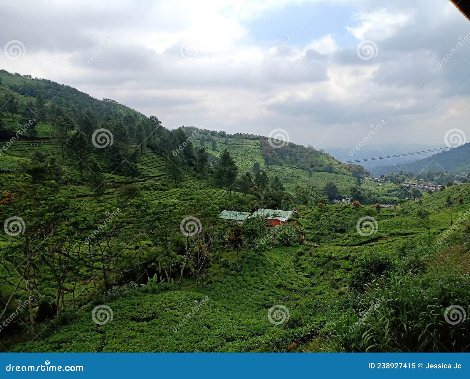 BEAUTIFUL MOUNTAIN in BOGOR, INDONESIA Stock Image - Image of beautiful ...