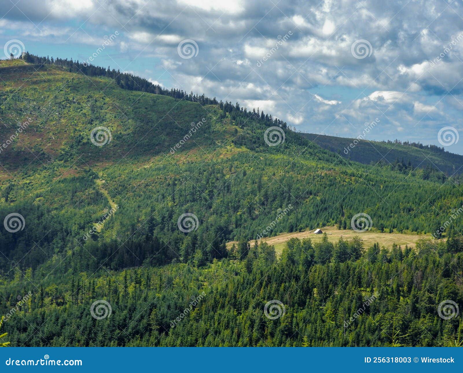 Beautiful Mountain Covered in Conifers in Beskidy, Silesia, Poland ... Beautiful Mountain Covered in Conifers in Beskidy, Silesia, Poland ...