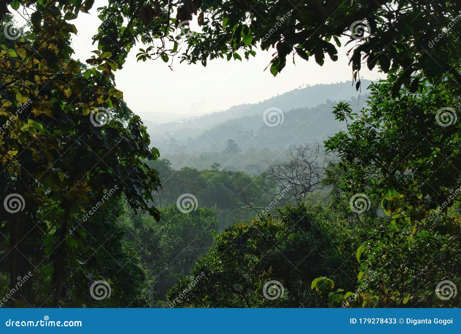 Beautiful Mountain and Forest in India ,assam Stock Image - Image of ...