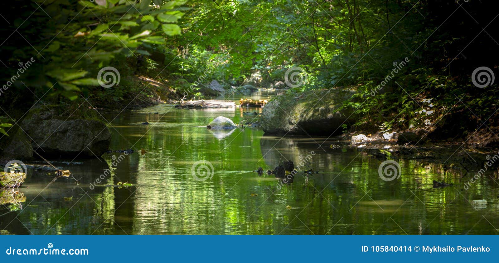 Beautiful Mountain Forest Stream, with Reflection in Water Stock Photo ...