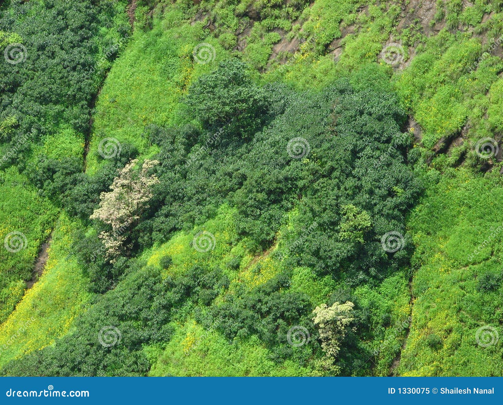 Beautiful Mountain Greenery Stock Image - Image of superb, spot: 1330075