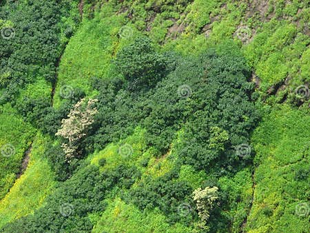 Beautiful Mountain Greenery Stock Image - Image of superb, spot: 1330075