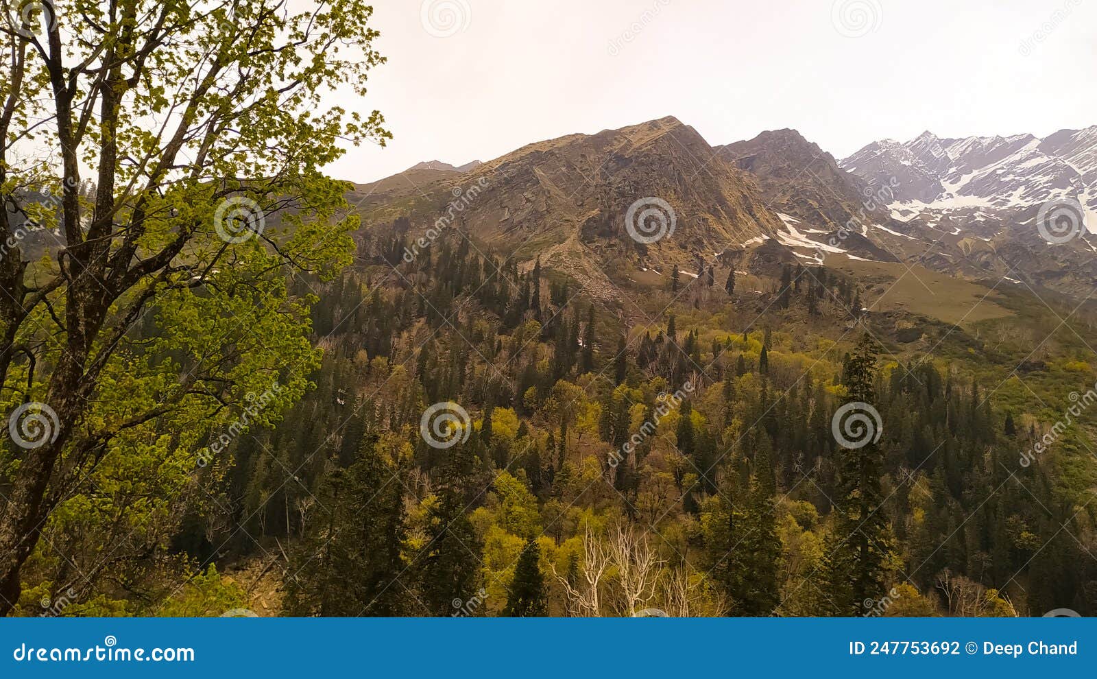 Beautiful mountain inside stock photo. Image of beautiful - 247753692