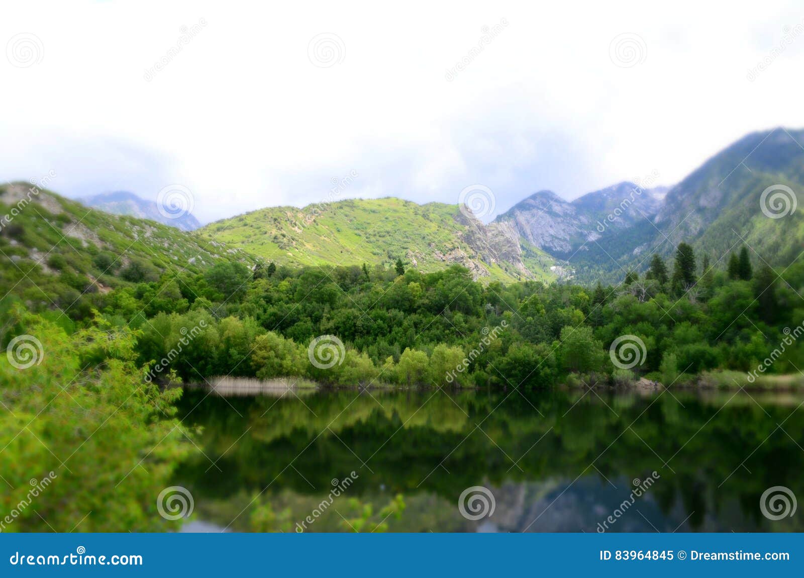 Beautiful Mountain Lake in Spring Stock Image - Image of path, bush ...