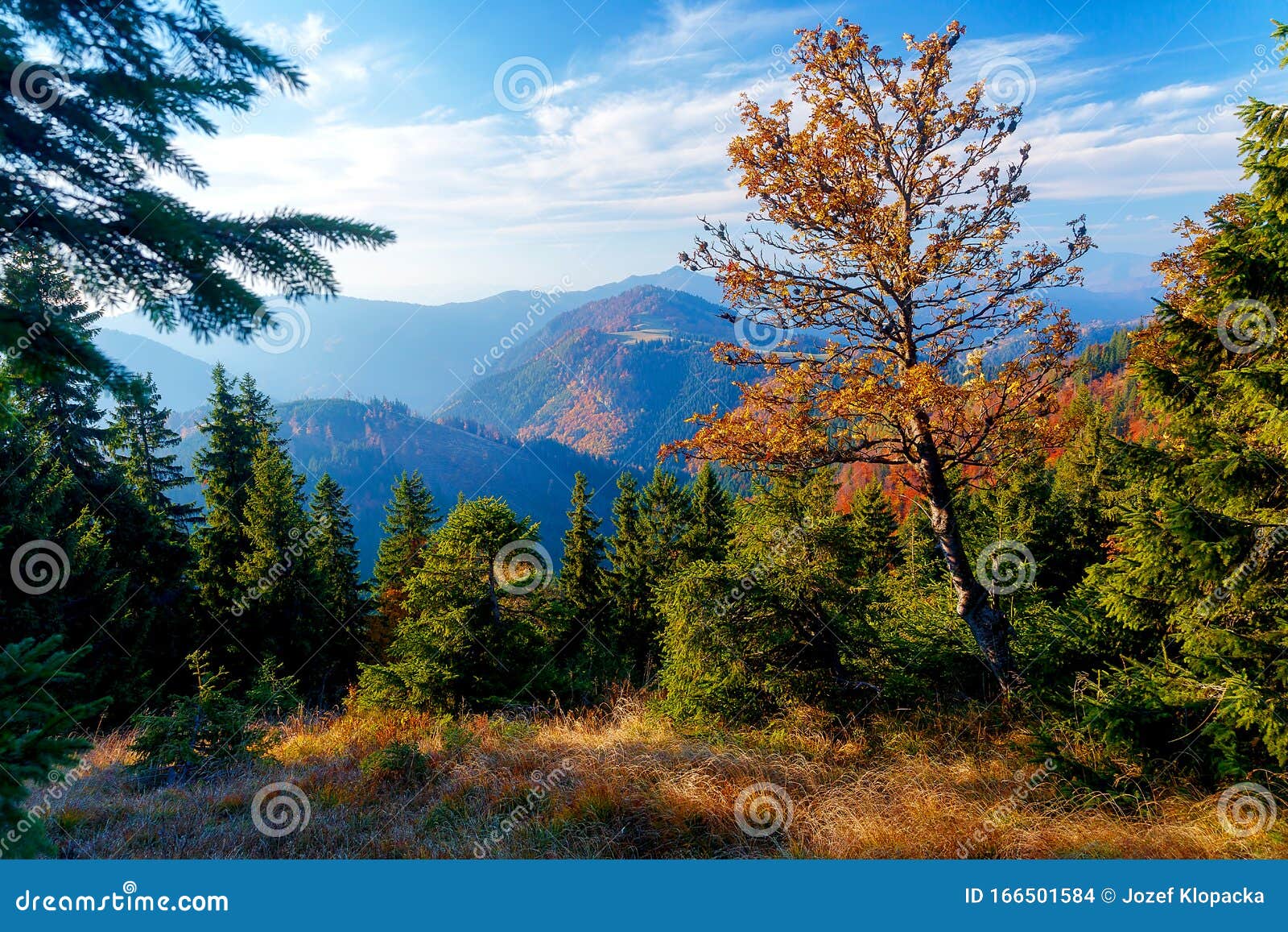 Beautiful Mountain Landscape, Autumn Meadows and Trees. Stock Photo ...